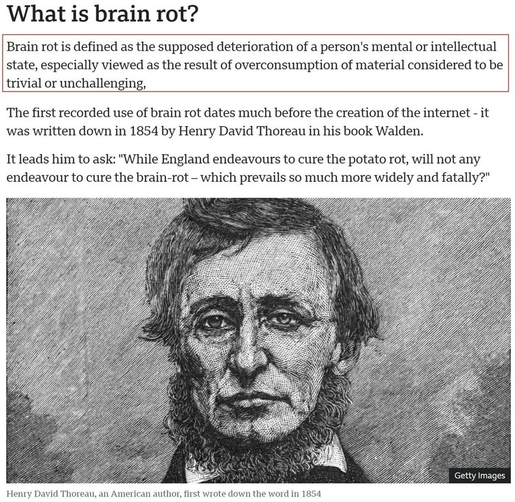 2024年，你“脑腐”了么？-国际在线